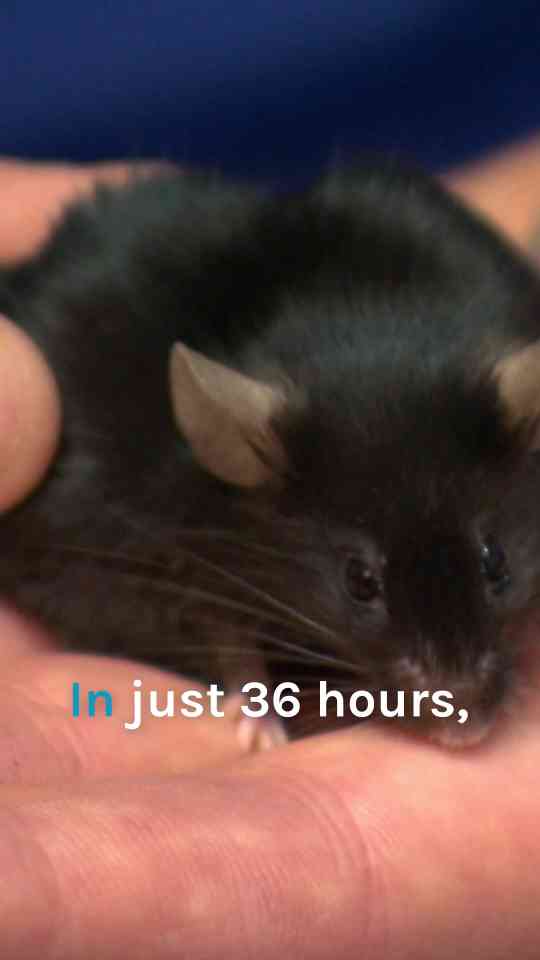 This is what happens when expert care meets a tiny patient in danger