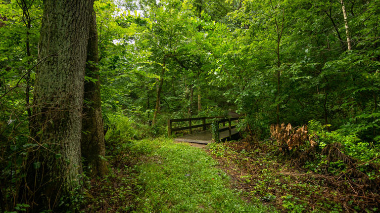 Illinois' Under-The-Radar Scenic State Park Is A Hidden Gem Between ...