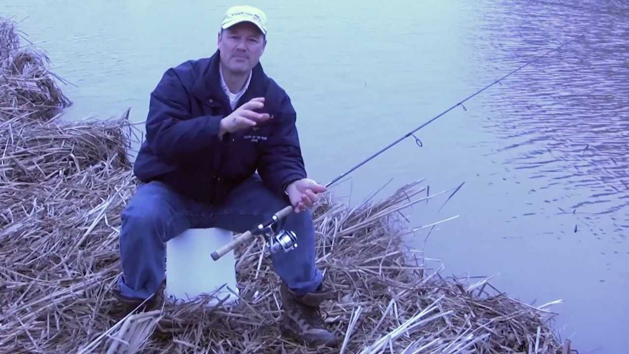How to fish for bullhead catfish - tips and techniques