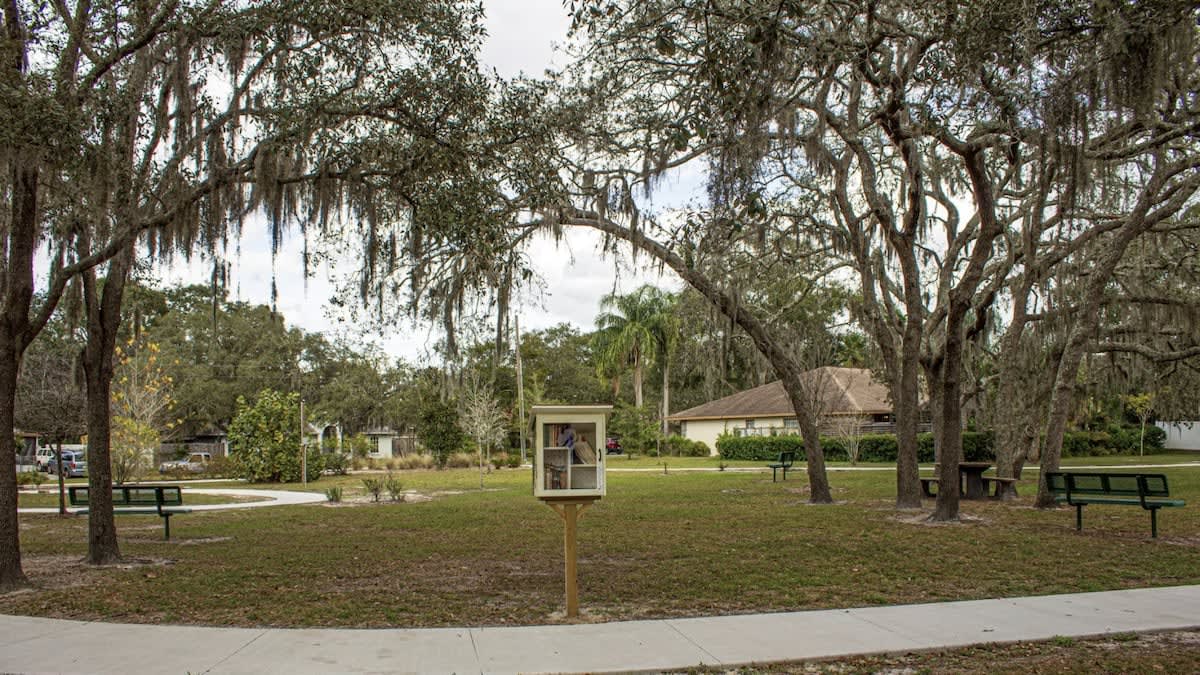 Temple Terrace just tallied every tree on city property. Here’s what it ...