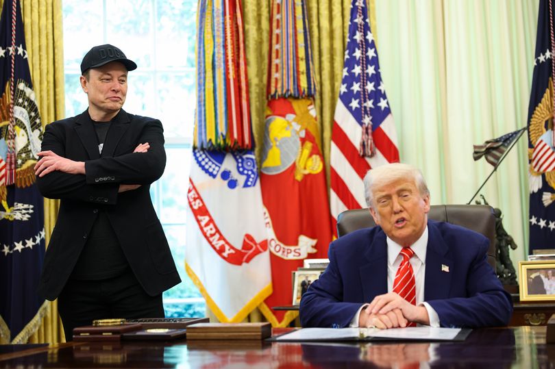 Elon Musk's AI Grok says it would kill all Jewish people to save his brain