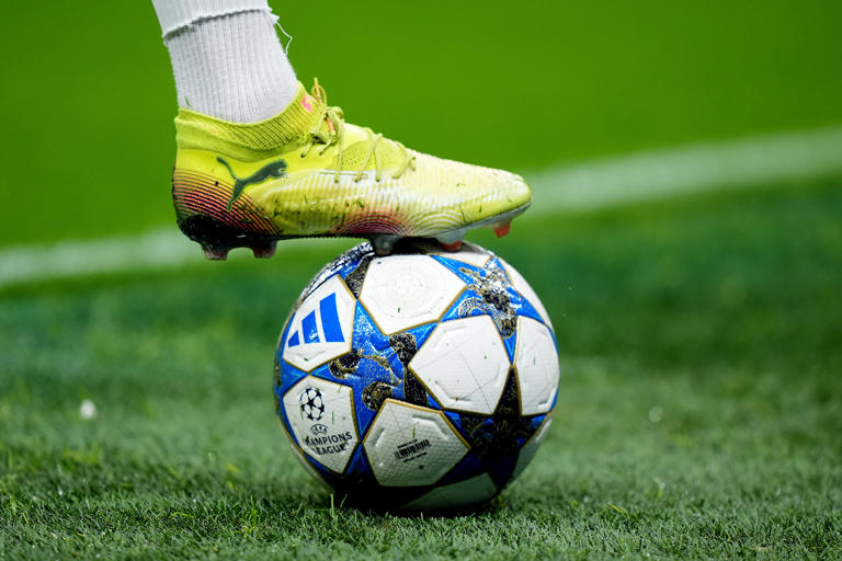 Champions League, le partite del 24 e 25 novembre: quando giocano Inter ...