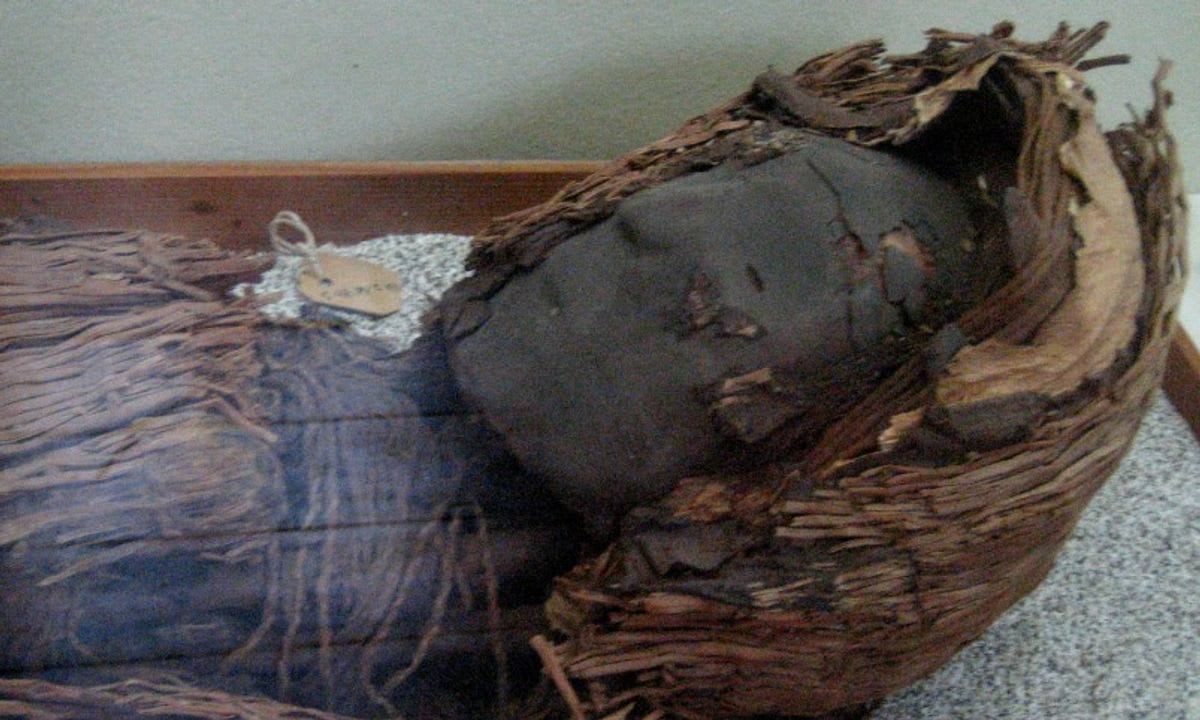 Why Did Prehistoric Mummies From The Atacama Desert Have Such Small Brains?
