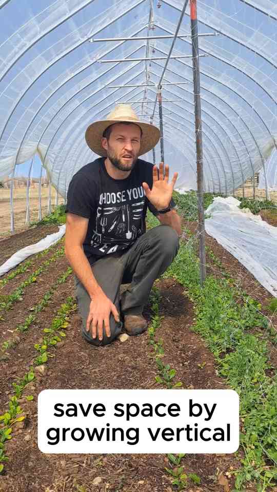 Boost Your Harvest — Grow Up, Not Out!