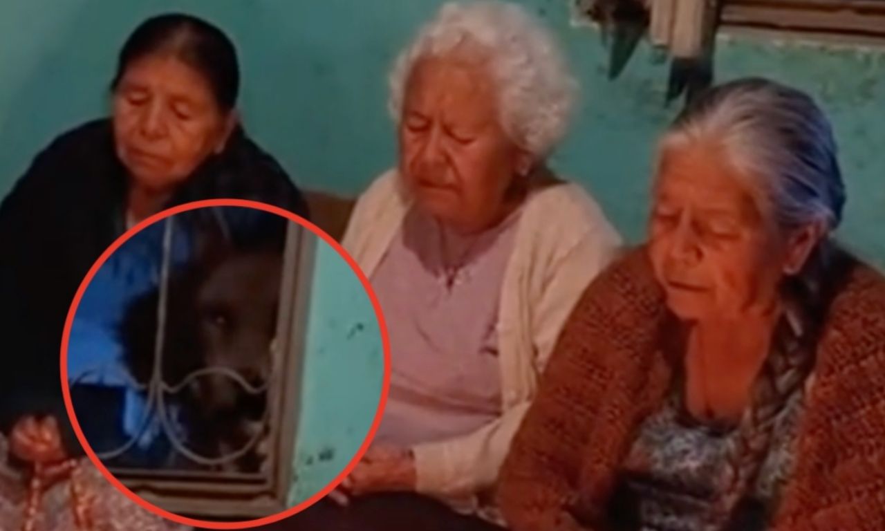 Captan supuesto demonio atacando a abuelitas durante un rosario: Video ...