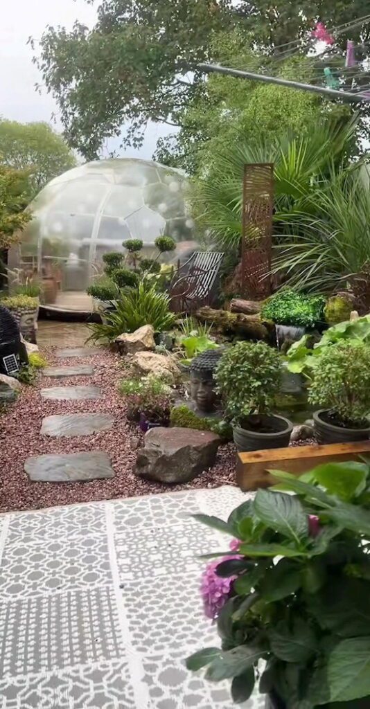 ‘I spent my 20s building my dream garden instead of going out – I don’t ...
