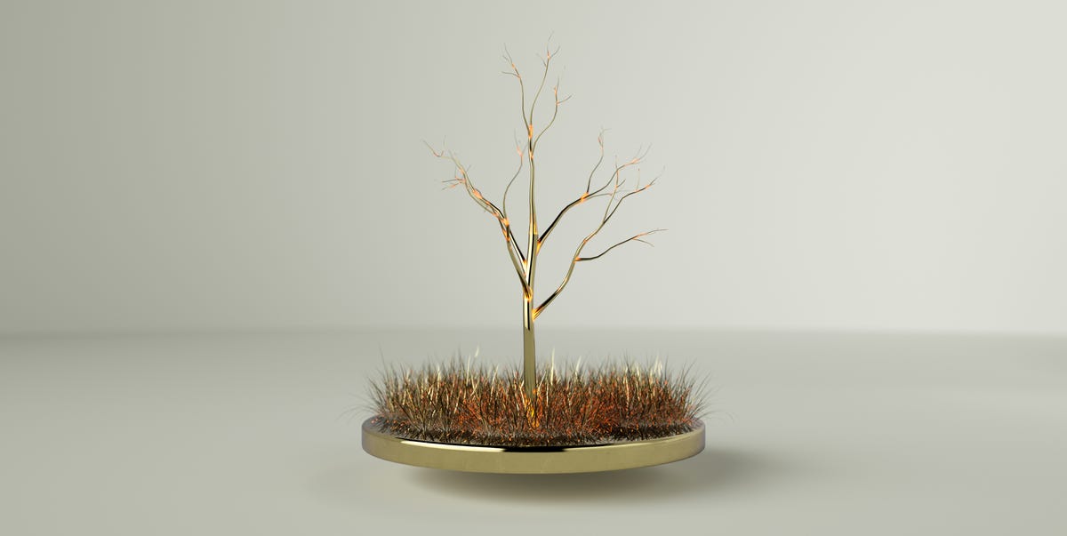 Humanity Is Desperate for Rare Earth Elements. This Plant Is Growing ...