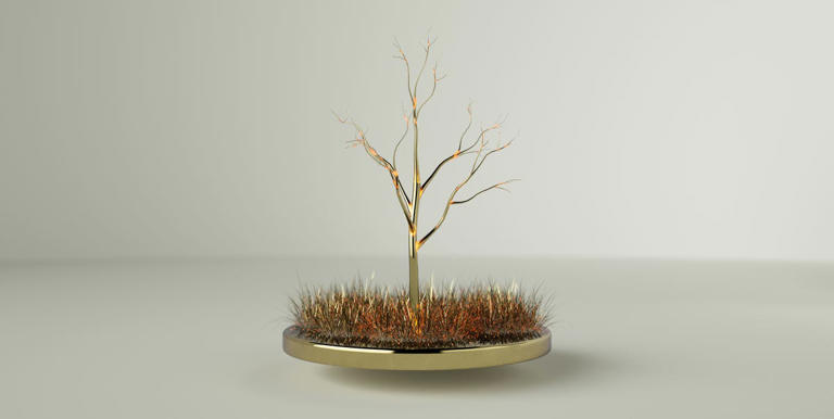 Humanity Is Desperate for Rare Earth Elements. This Plant Is Growing ...