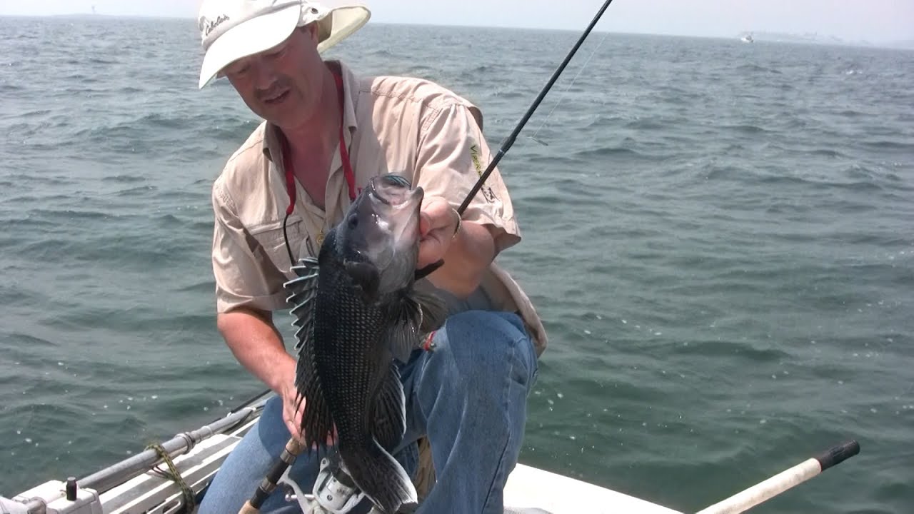 Tips and tricks - how to catch black sea bass