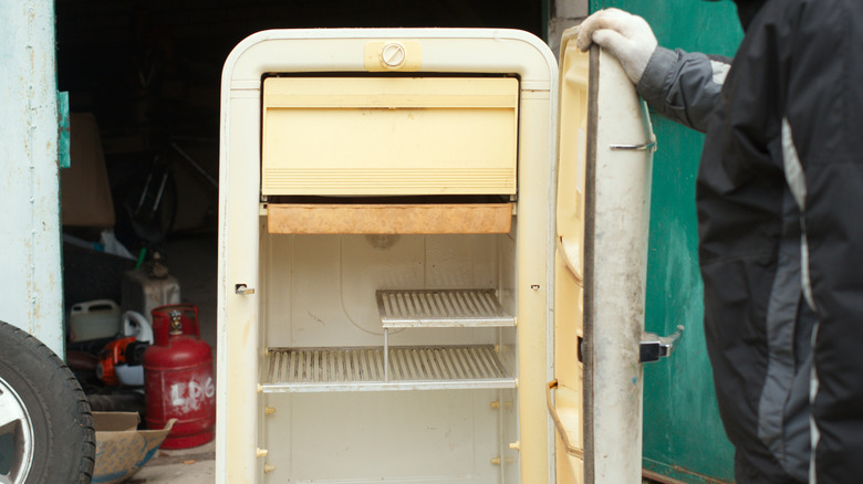 Freezing Temps Can Stop Your Garage Fridge From Working: How To Protect It