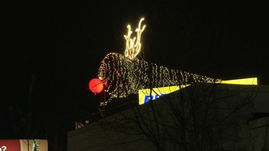 Big Blue Bug gets lit for 33rd year