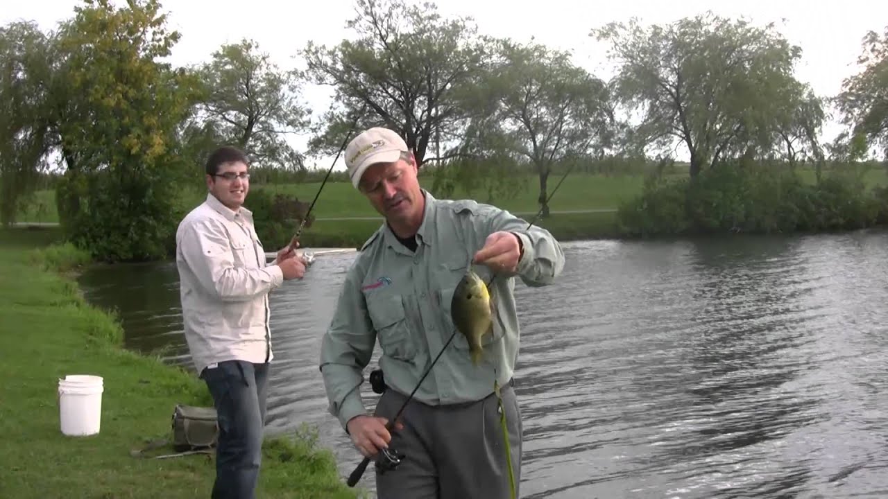 Shore fishing with the T-Turns and cut bait for pike, perch, and sunfish