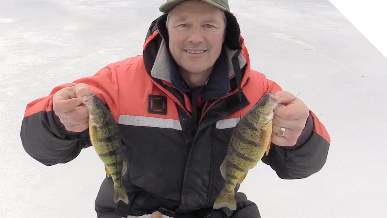 How to ice fish for perch - Ice fishing jigging tips and tricks