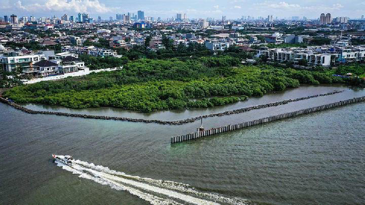 Tanggul Laut di Pantai Mutiara Rembes, Jakarta Bakal Bangun dengan ...