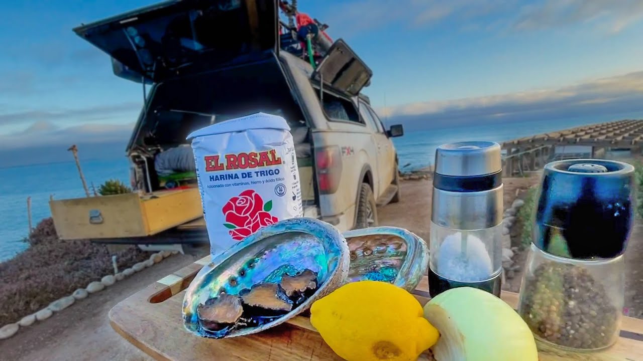 Abalone Farm Tour Camp & Cook