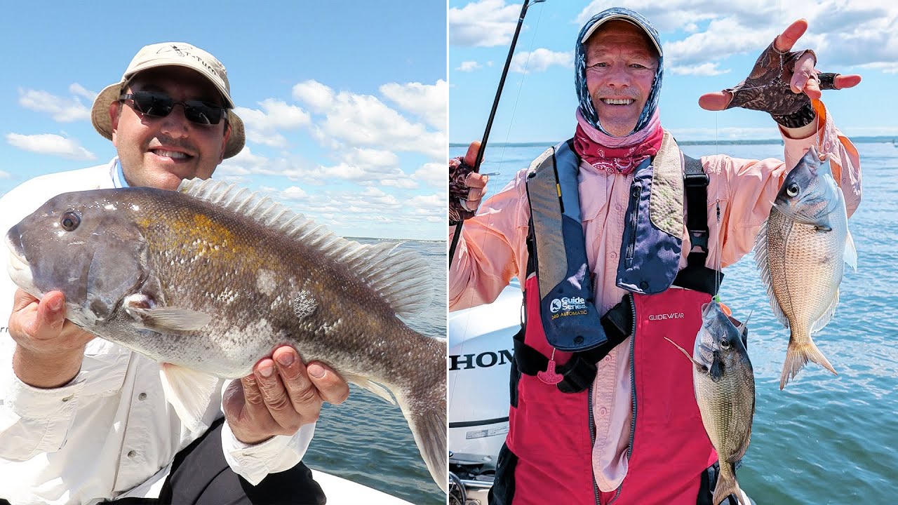 Catching scup, seabass, and tautog on eye-drops