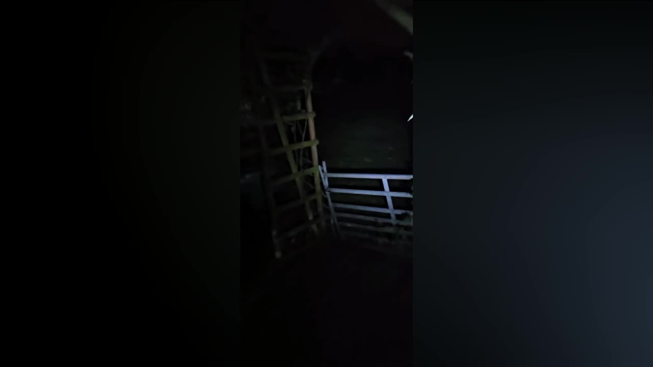 Hilarious moment farmer pranks visitor asking him to shut up high ...