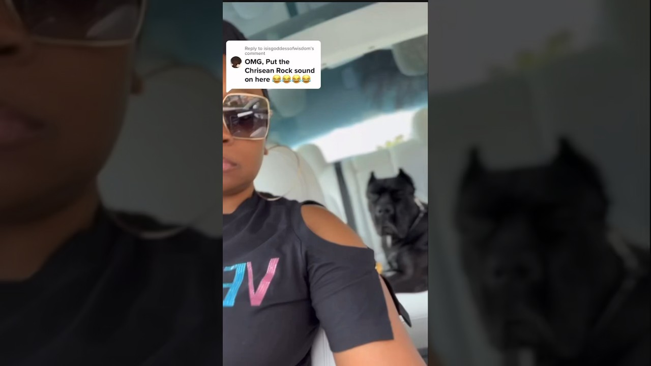 Dog goes wild and keeps everyone entertained