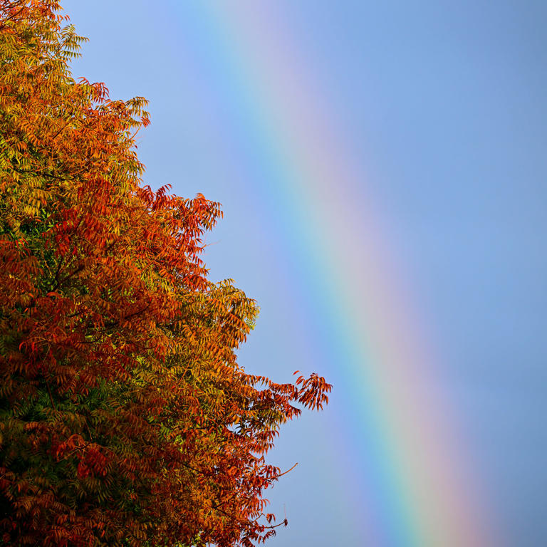 Thanksgiving will bring sunny skies after another storm rolls through ...