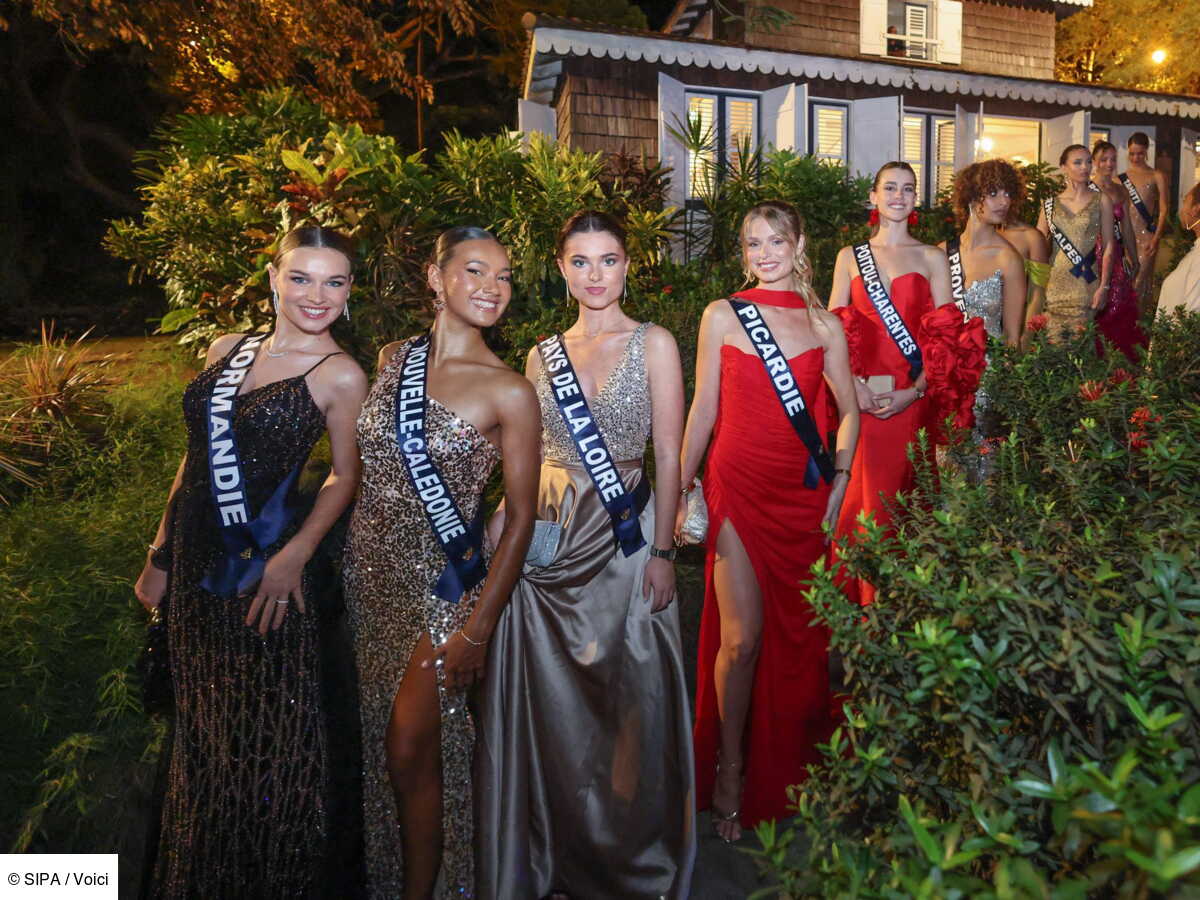 Miss France 2026 : Michèle Bernier présidente, la liste officielle des ...