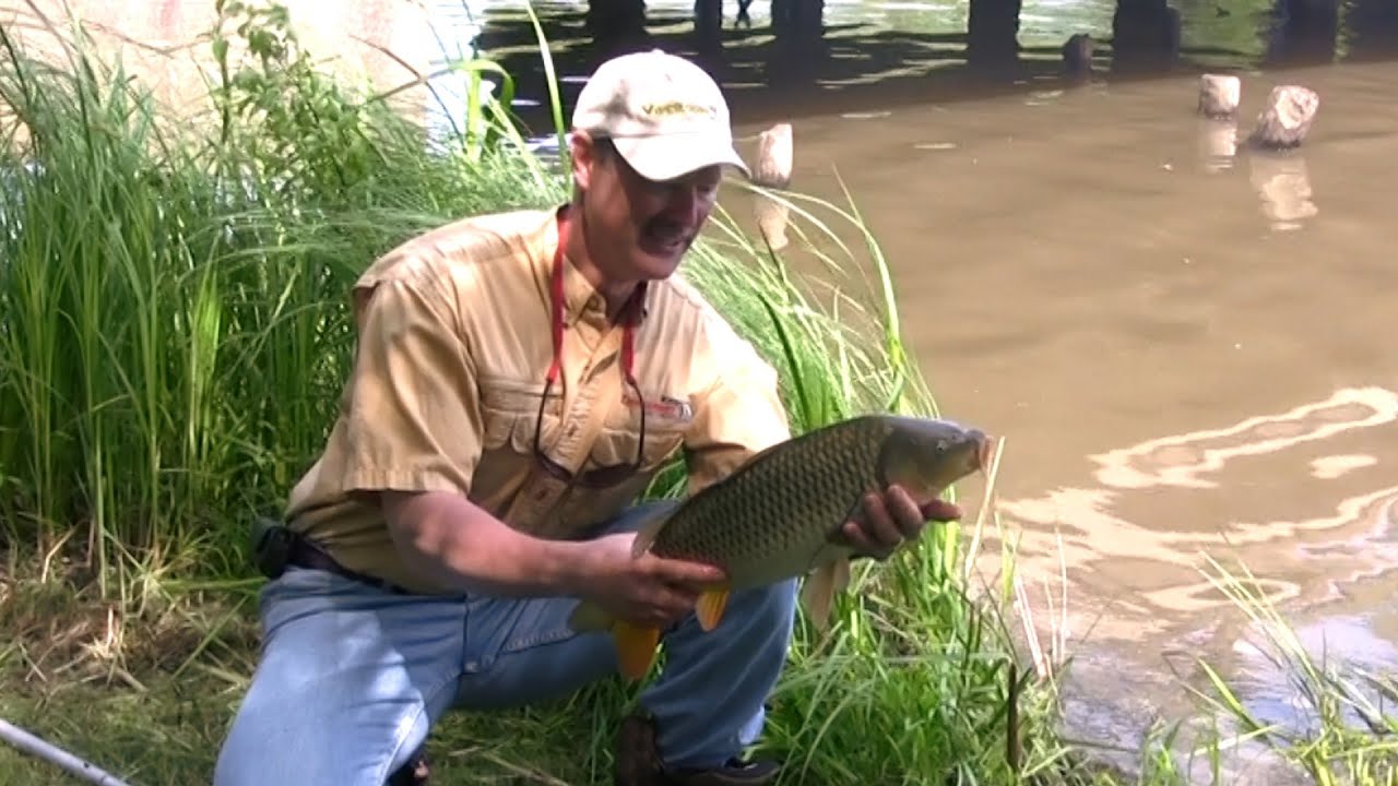 Tips on carp fishing from shore using corn and the T-turn