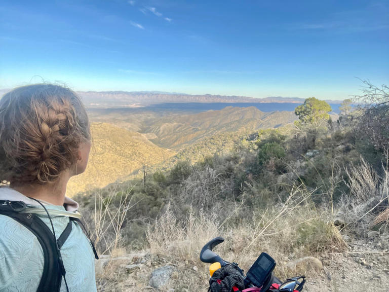 On the Arizona Trail, saguaros, coati and a midnight skunk reveal ...