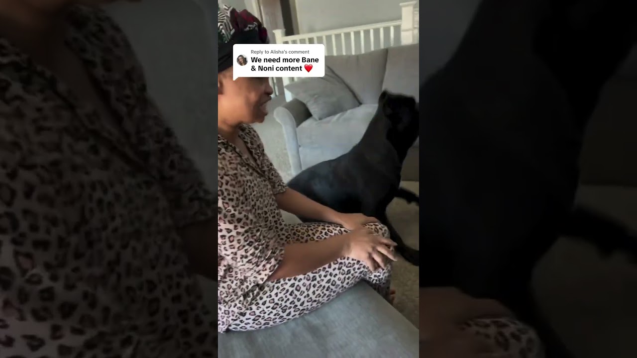 Dog and grandma show love in the sweetest way