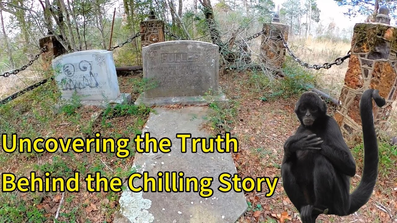 Attack of the Killer Monkeys? Exploring Monkey Bridge & Fuller Park ...