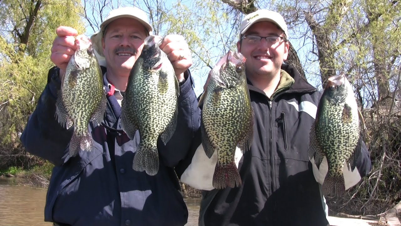 How to fish for huge slab crappies using live bait (minnows)