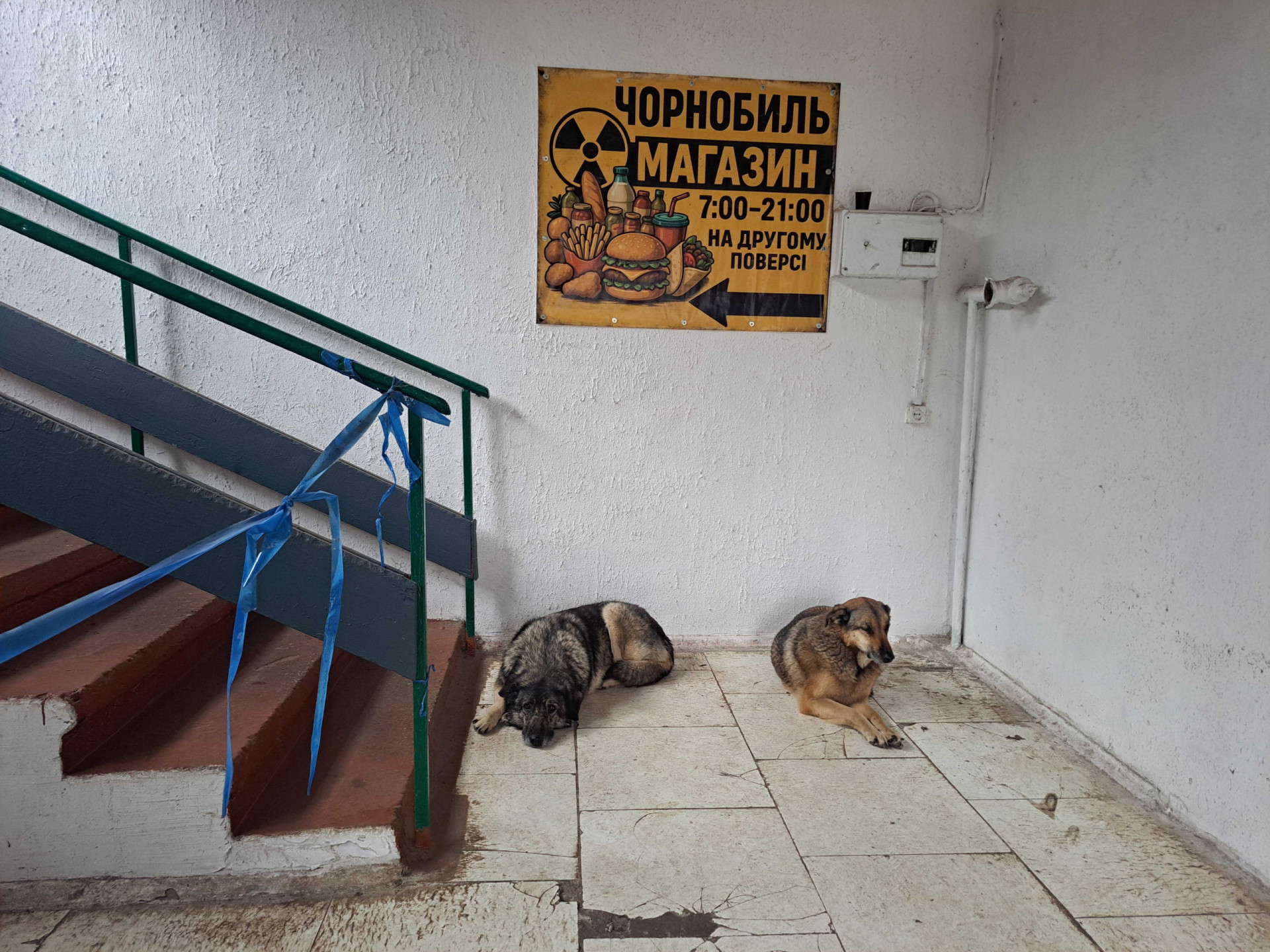 The radioactive animals of Chernobyl