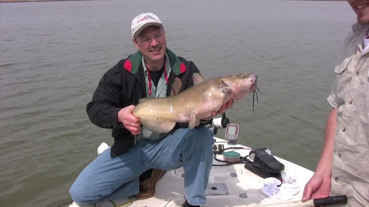 Catfish fishing - secrets, tricks, and tips to catching big catfish ...
