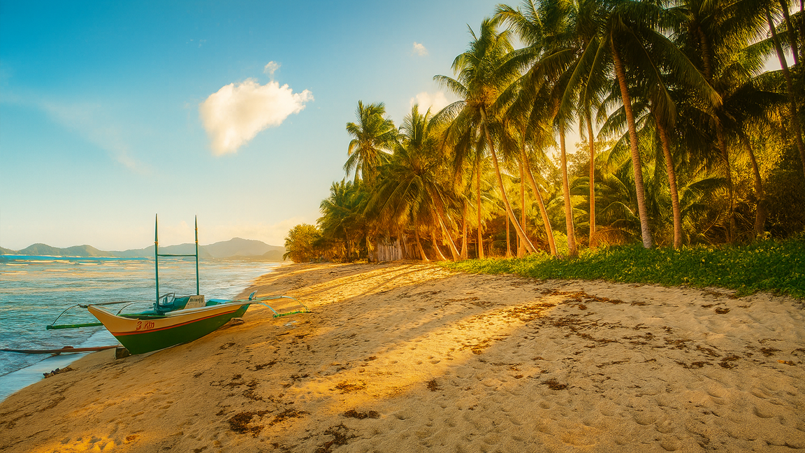 Was kannst du am Strand von Plumeria entdecken?
