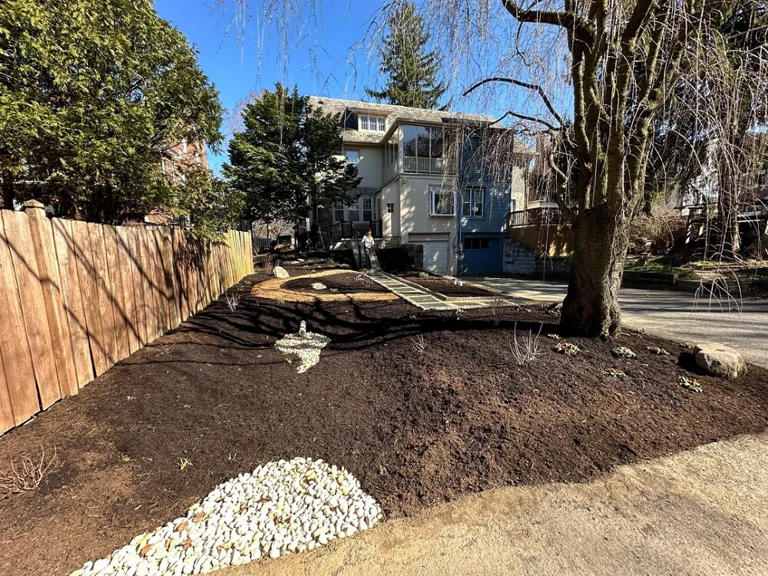 Homeowner shares stunning before-and-after photos of major landscaping ...