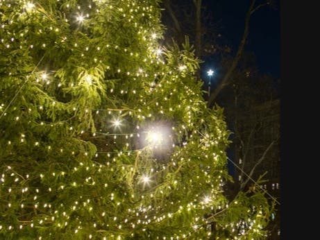 Beverly Downtown Holiday Tree Lighting Set To Celebrate Season