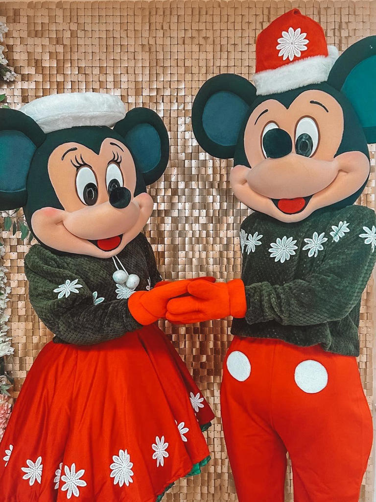 The Countdown is on to meet and greet magical Christmas characters!