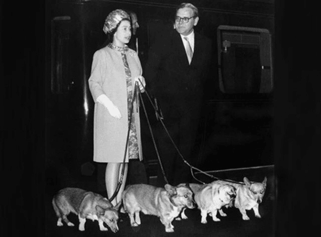 Why were corgis Queen Elizabeth II's favorite dogs?