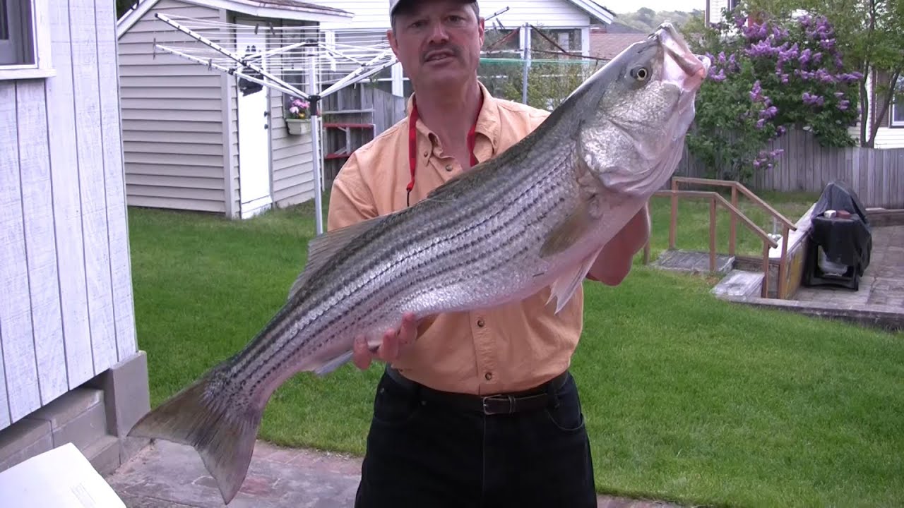 Saltwater fishing in Cape Cod (full length TV show)