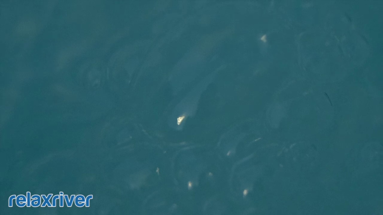 Sauna music Thai spa music, healing and relaxing music meditation ...