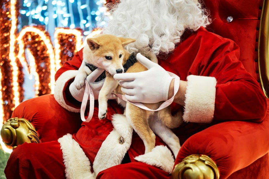 Free pictures with Santa at PetSmart
