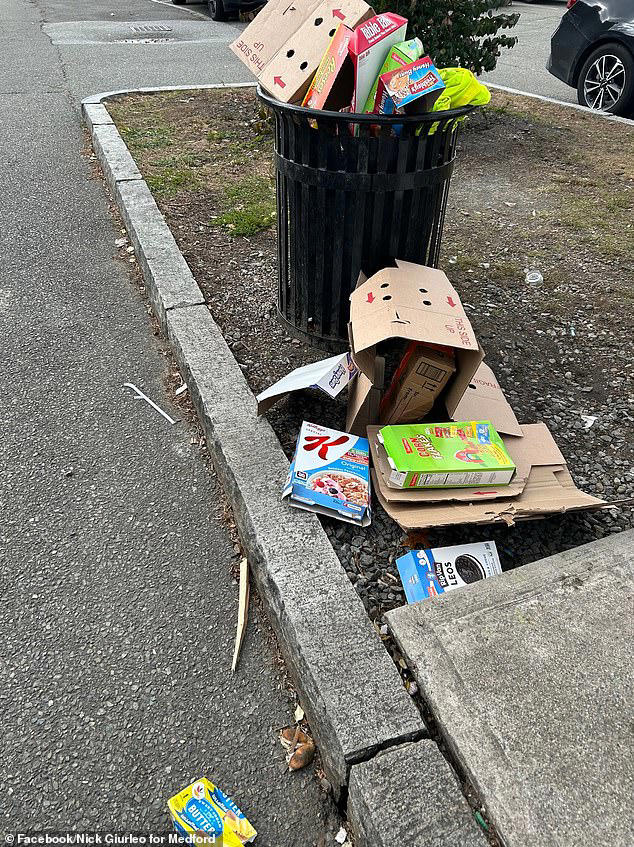 Boston suburb outraged after woke mayor announces trash will only be ...