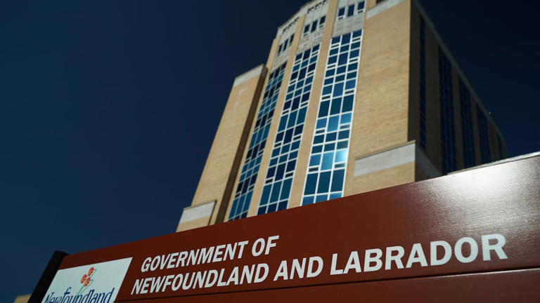 'The pressure is very high' as NL risks credit downgrade, even with a ...