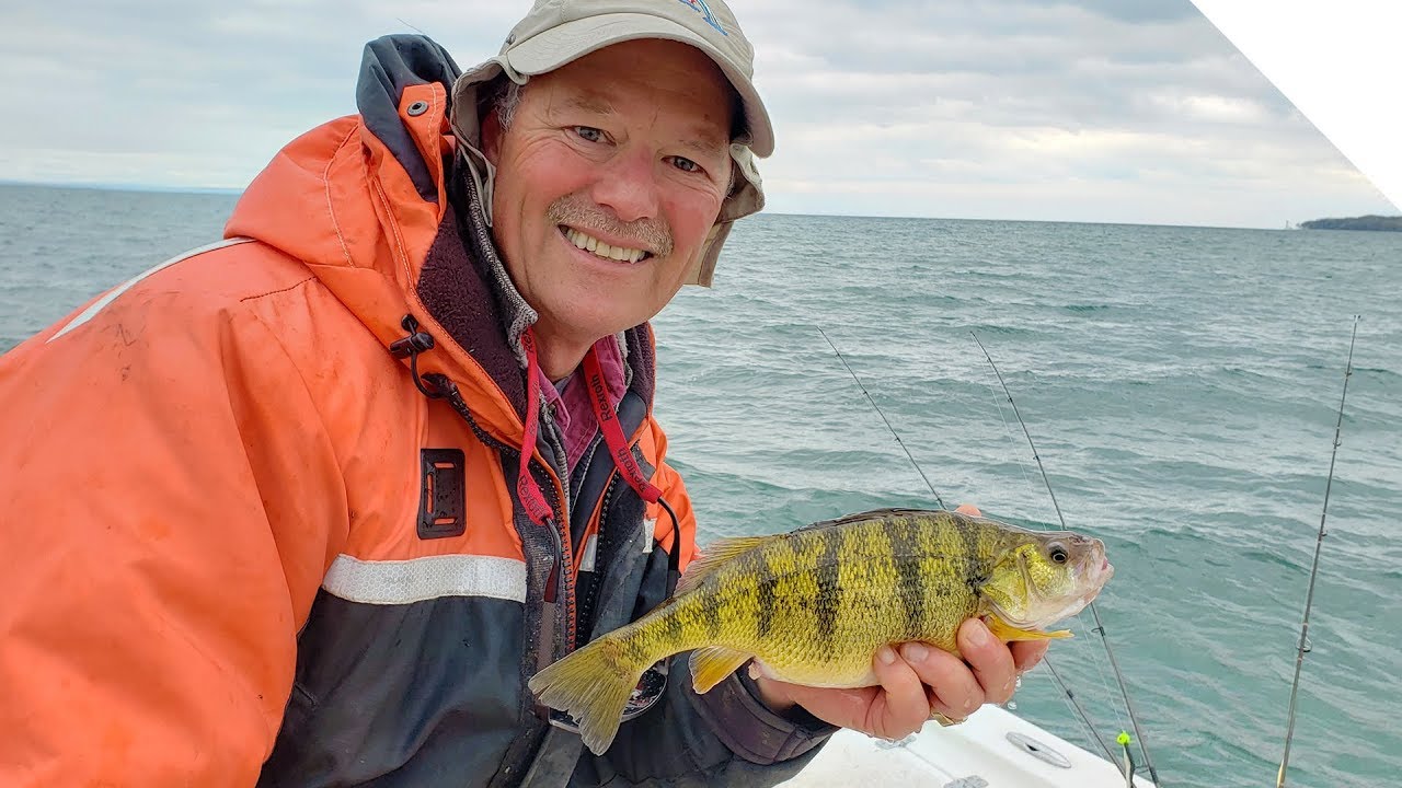 How to catch perch with minnows | Catching panfish