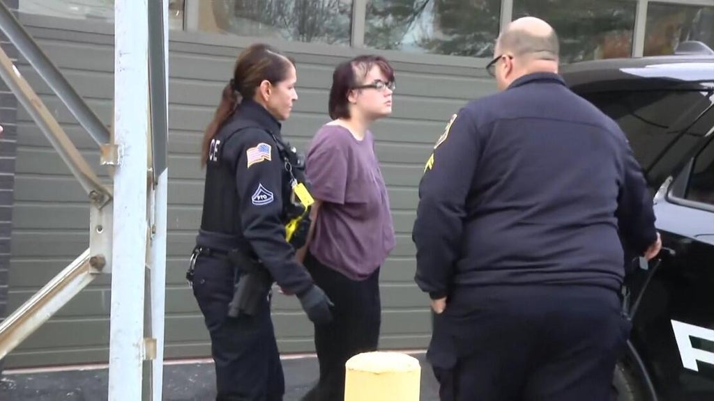 Extradition hearing set for "Slender Man" stabber Morgan Geyser after ...