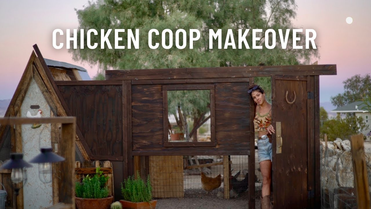 Rebuilding the chicken coop for a fresh start