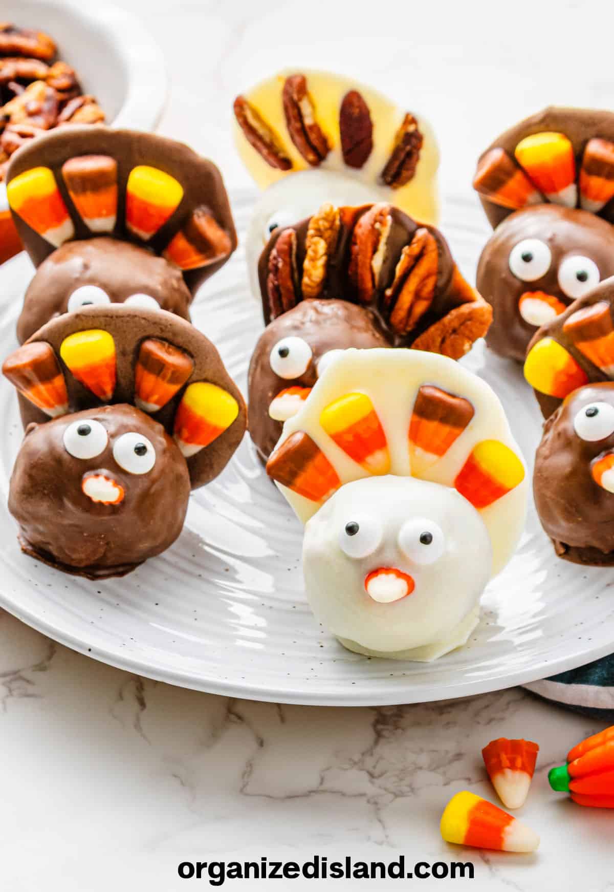 No bake turkey pumpkin pie balls