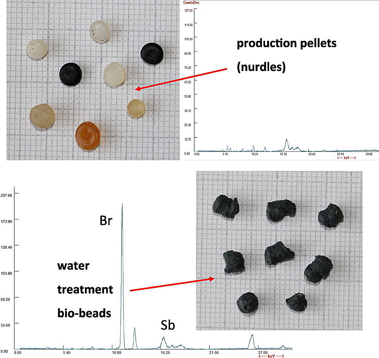 Plastic 'bio-beads' from sewage plants are polluting the oceans and ...