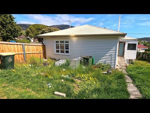 Helping a Random Stranger with $1000 in Yard Work