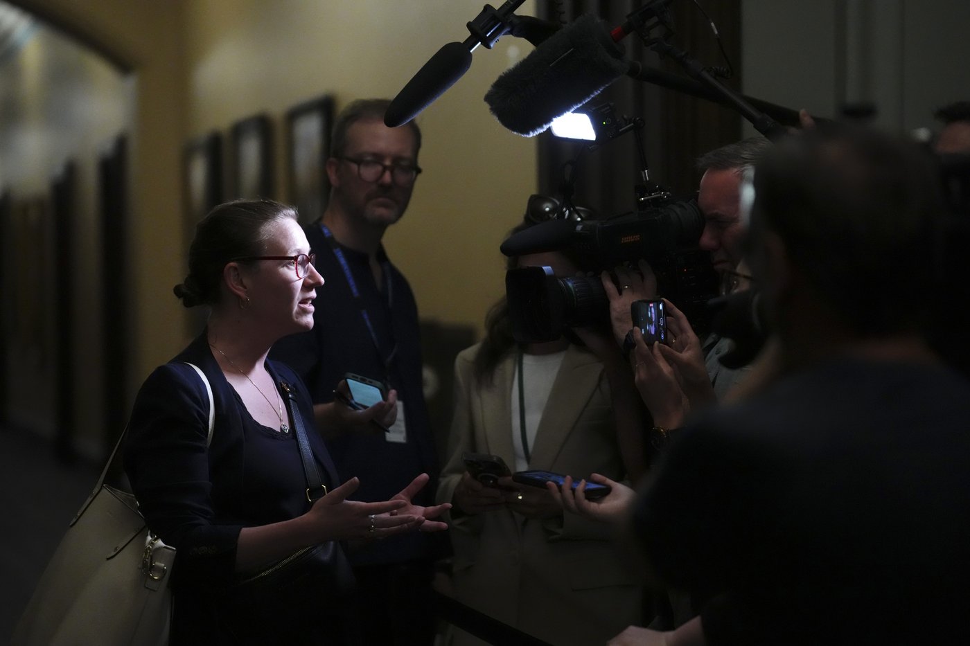 Gould: Carney's comments mark departure from 'feminist' foreign policy ...