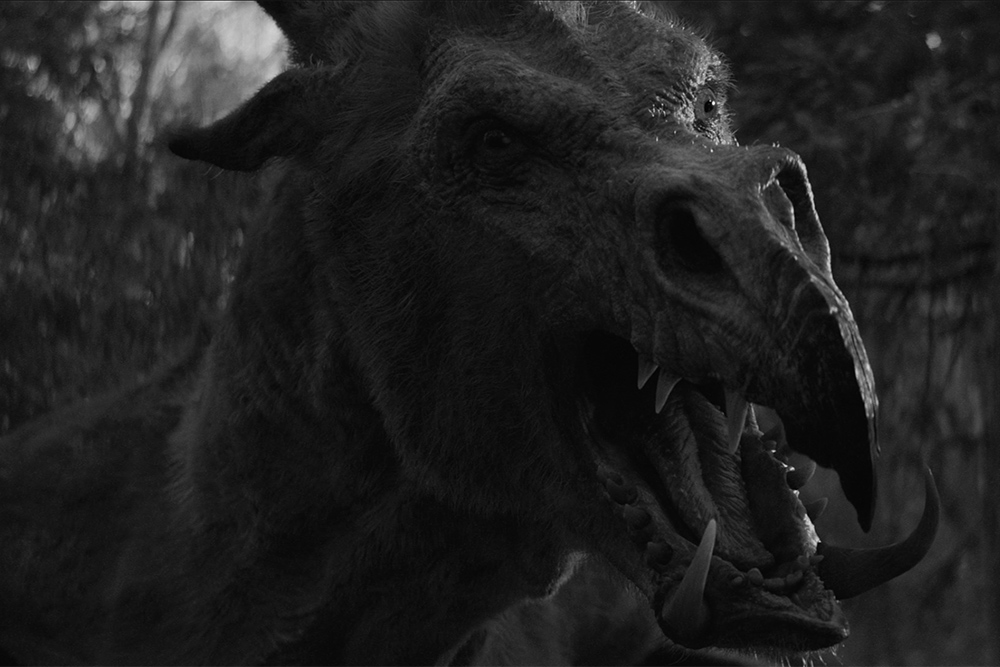 Sundance Short ‘Em & Selma Go Griffin Hunting' Boarded by Spooky ...