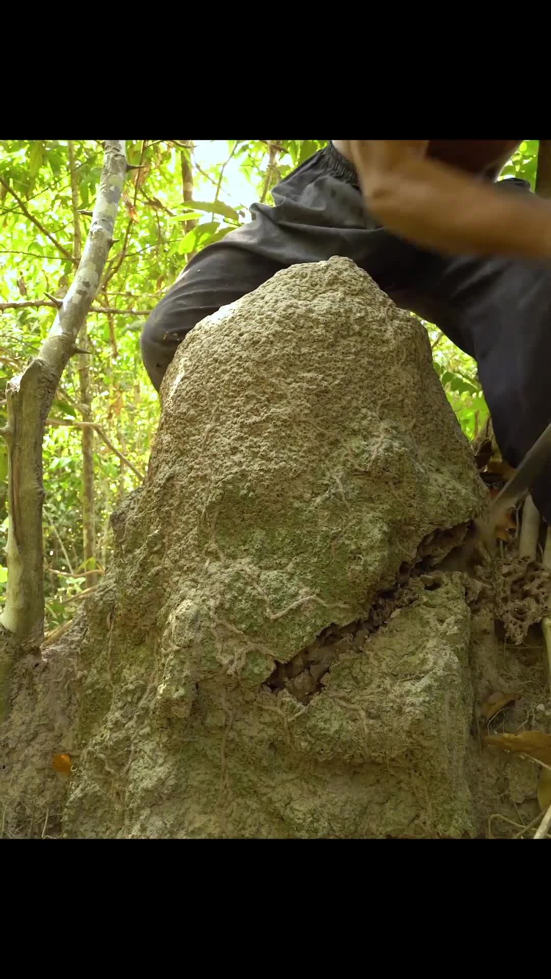 Building underground room and water slide part 11